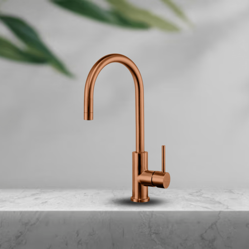 Reginox Cano Single Handle Mixer Tap | Shop Online for Home| Sanitary ...
